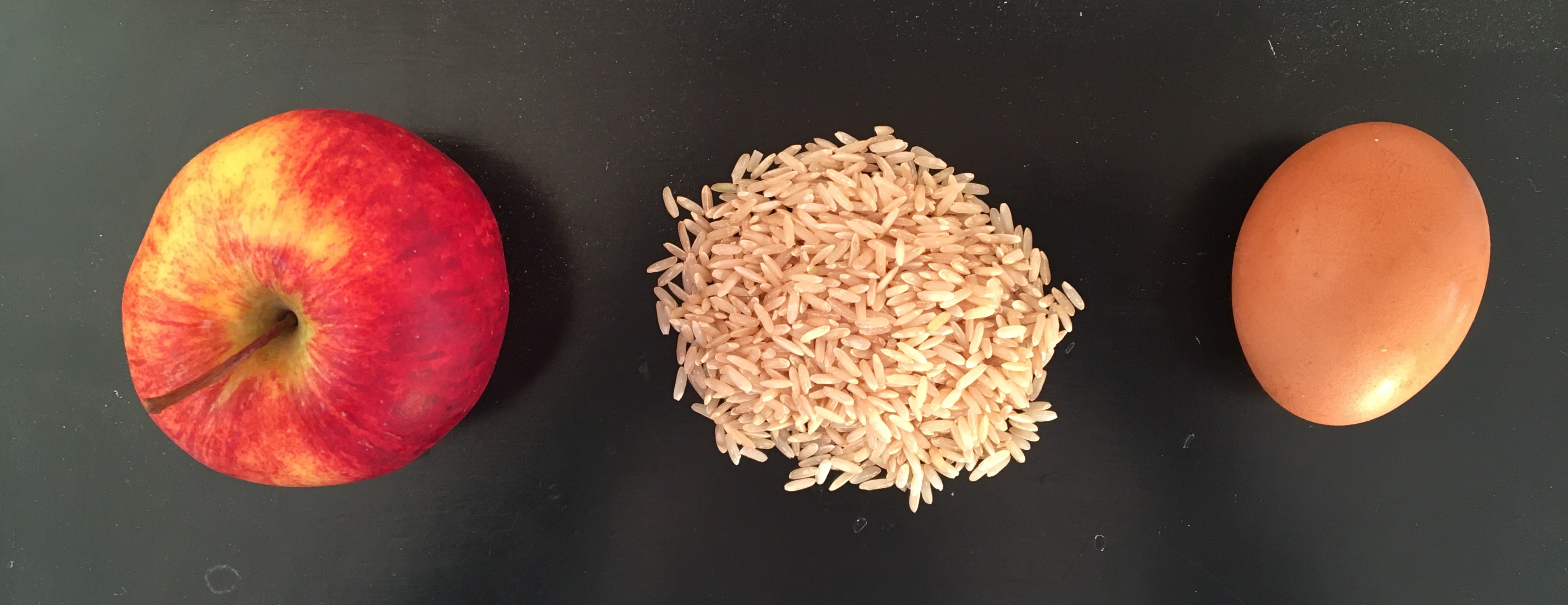 FOOD – what is it? – Food4Health